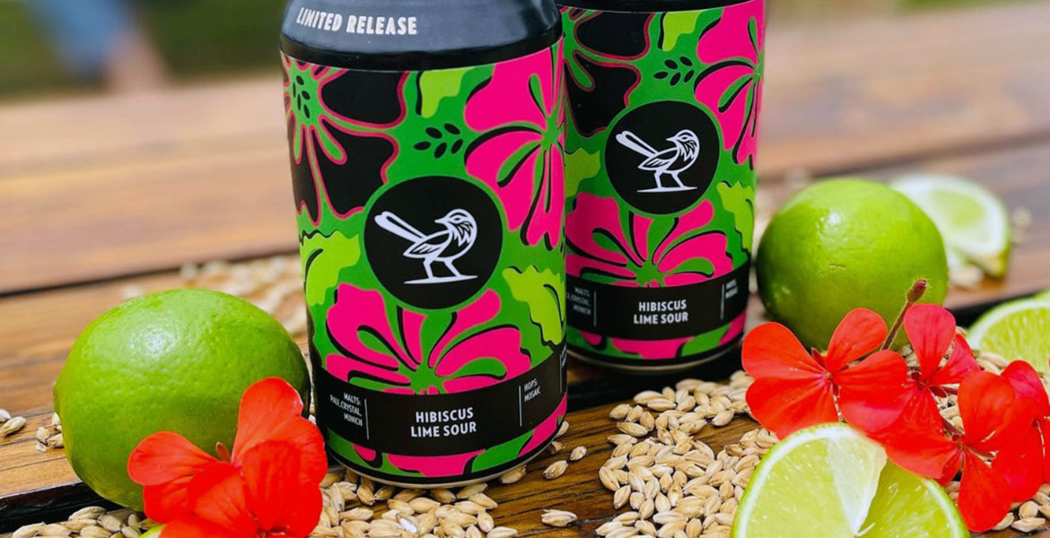 Boston Brewing Hibiscus Lime Sour - The Crafty Pint