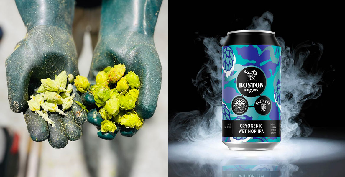 Boston Brewing Cryogenic Wet Hop IPA - The Crafty Pint