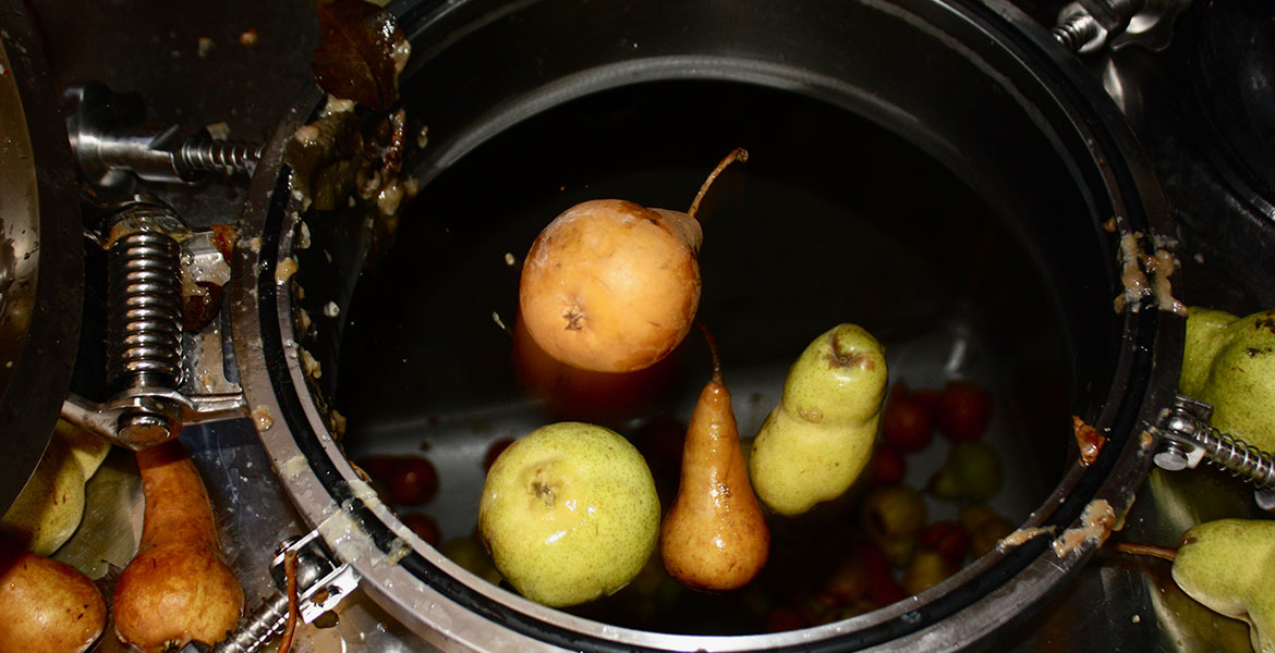 Molly Rose Pare Pair Pear - The Crafty Pint