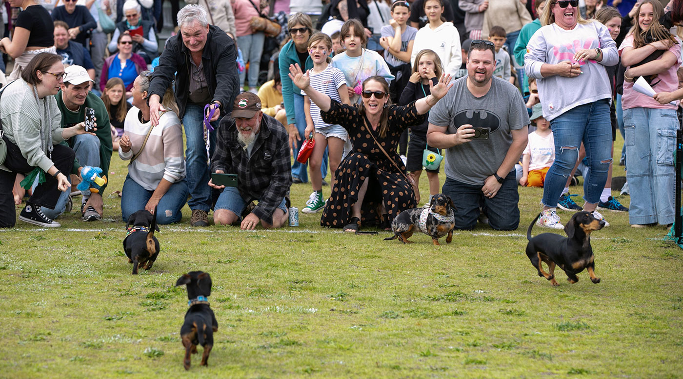 Oktoberfest & Dachshund Derby at Mountain Monk Brewers - The Crafty Pint