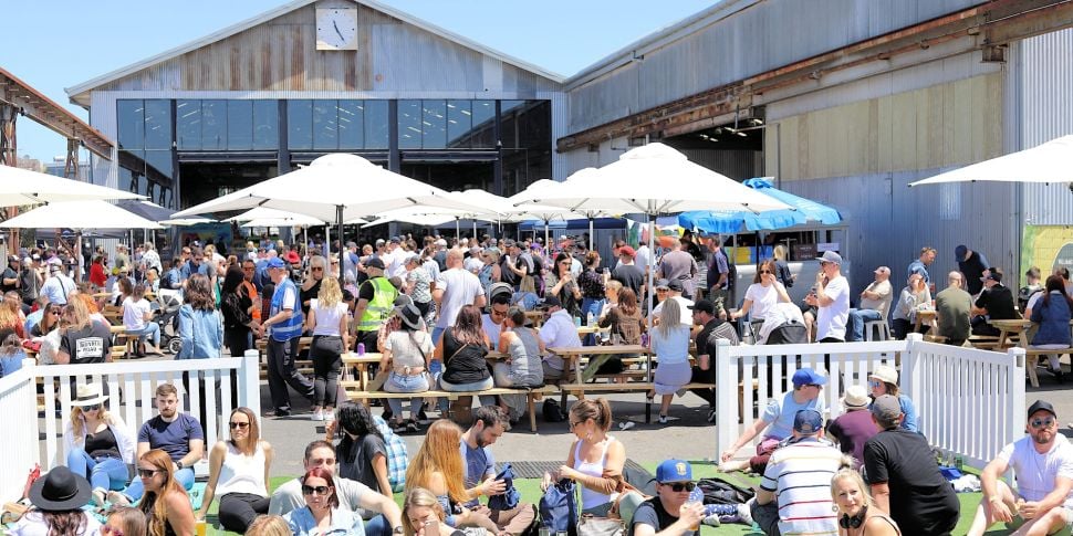 Willy Beer Fest 2025 - The Crafty Pint