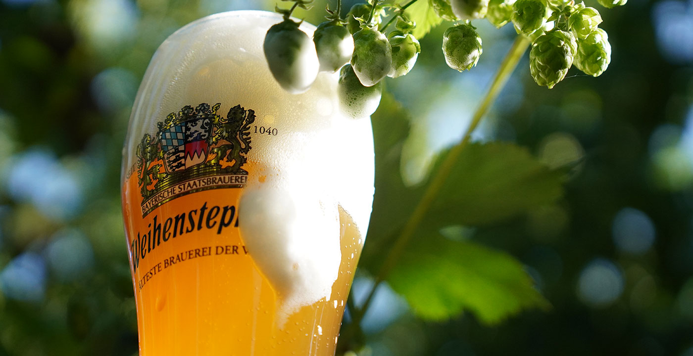 Brewing With Tradition: Wheat Beer's Rich History & Modern Appeal - The ...