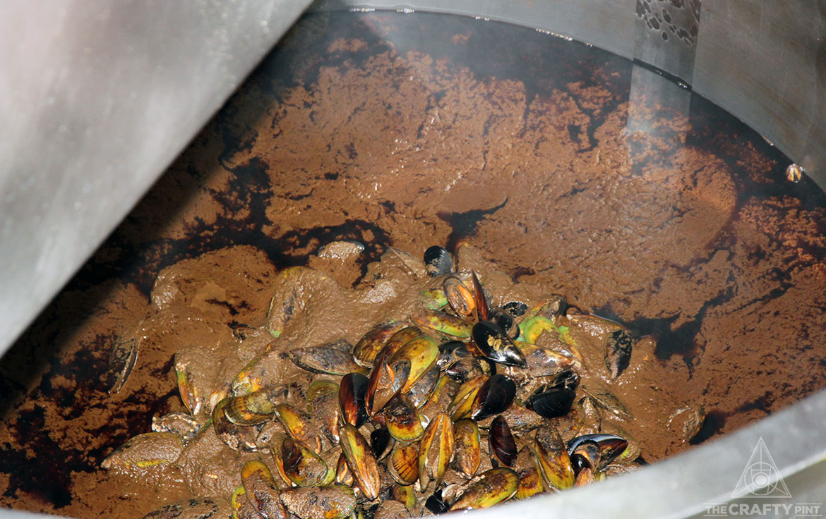 Beer Basics: Lautering, Boiling & Whirlpool - The Crafty Pint