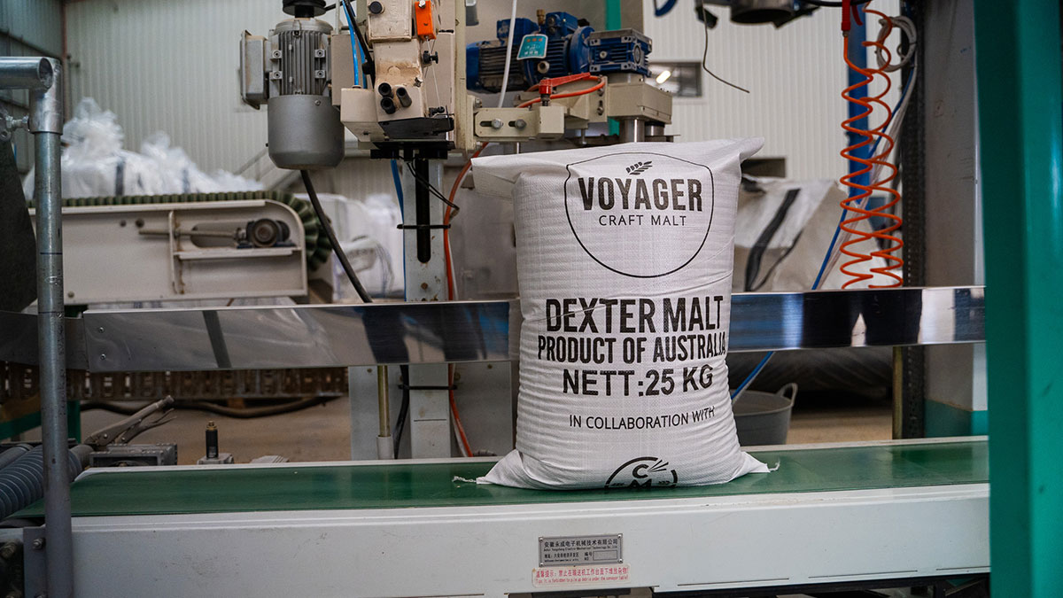 Dexter-ity – Crafting A Greener, Leaner, Local Malt - The Crafty Pint