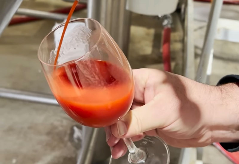 Cheeky Monkey Mango & Raspberry Pastry Sour - The Crafty Pint