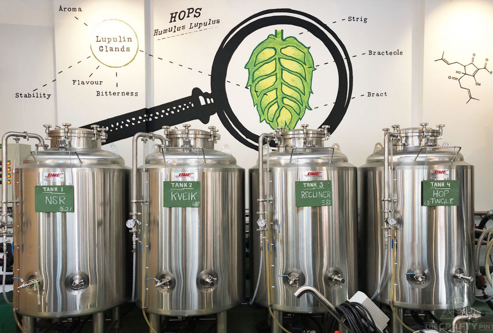 Fixation Launches Death Haze - The Crafty Pint