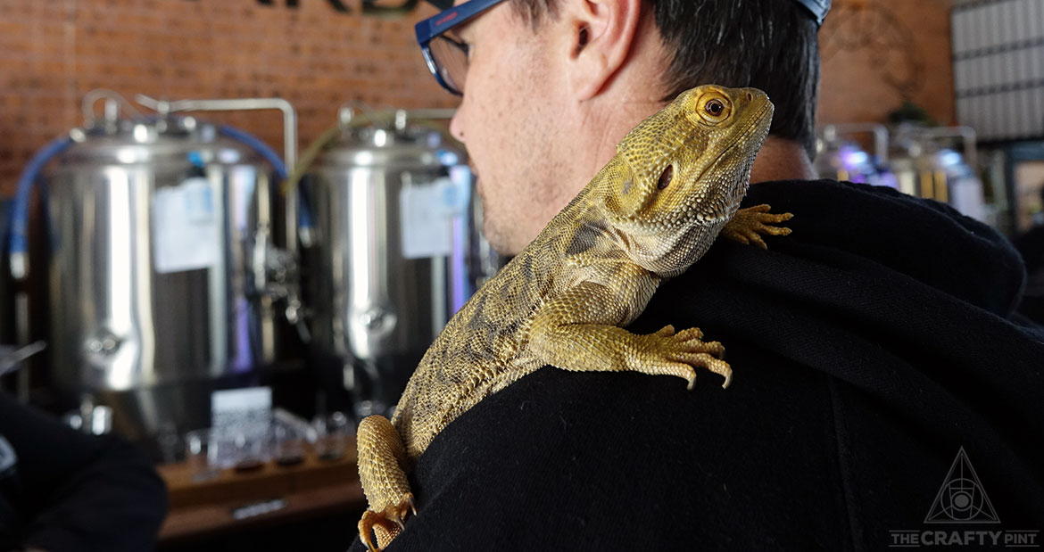 Who Brews Dusty Lizard Beers? - The Crafty Pint