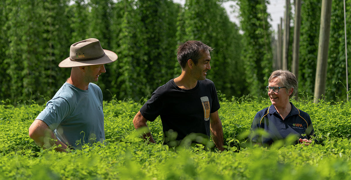 Fourteen Years Of Fresh Hop Beers - The Crafty Pint