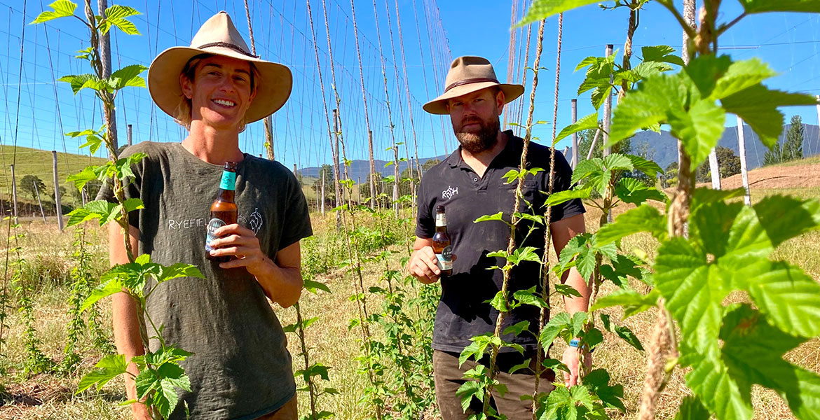Ryefield Hops: Securing A Future - The Crafty Pint