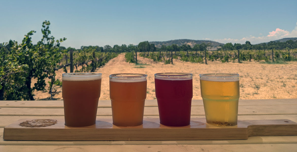 Who Brews Txoko Beers? - The Crafty Pint