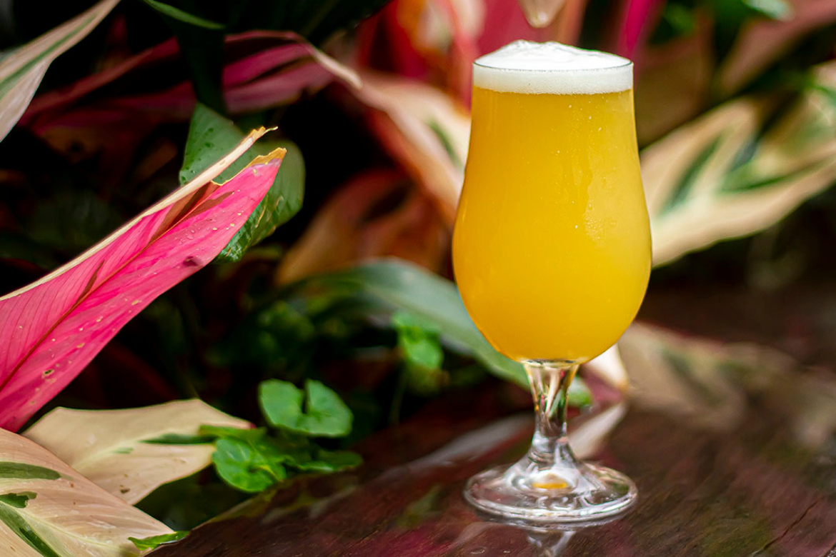 Who Brews Common People Beers? - The Crafty Pint