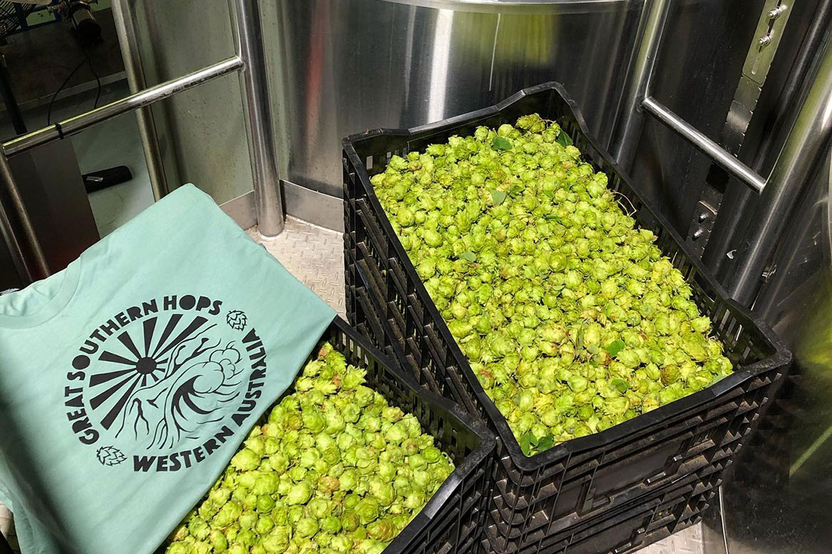 So Fresh: The Rise Of WA's Hop Growers - The Crafty Pint