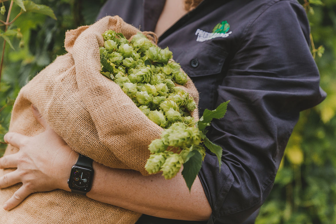 So Fresh: The Rise Of WA's Hop Growers - The Crafty Pint