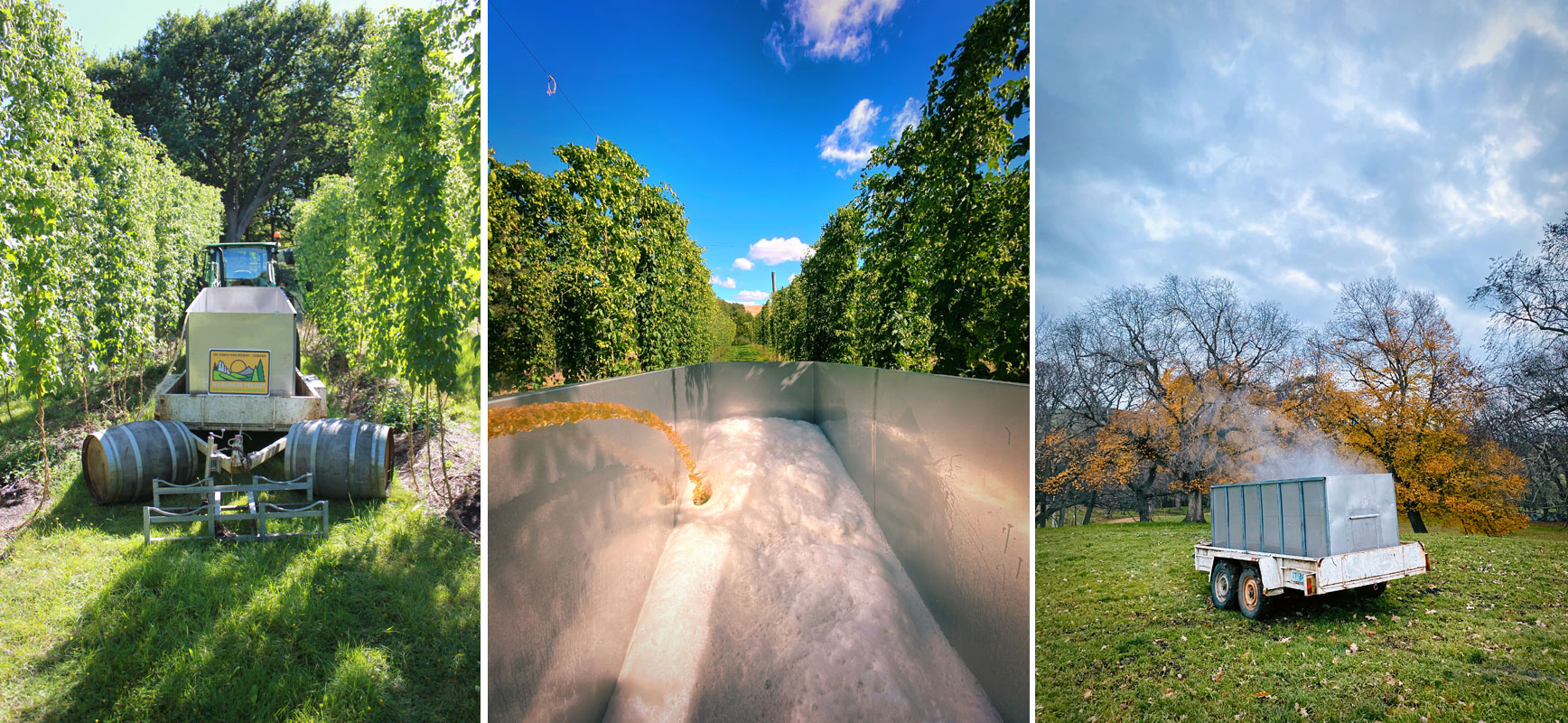 The Wild Ones: Van Dieman - The Crafty Pint