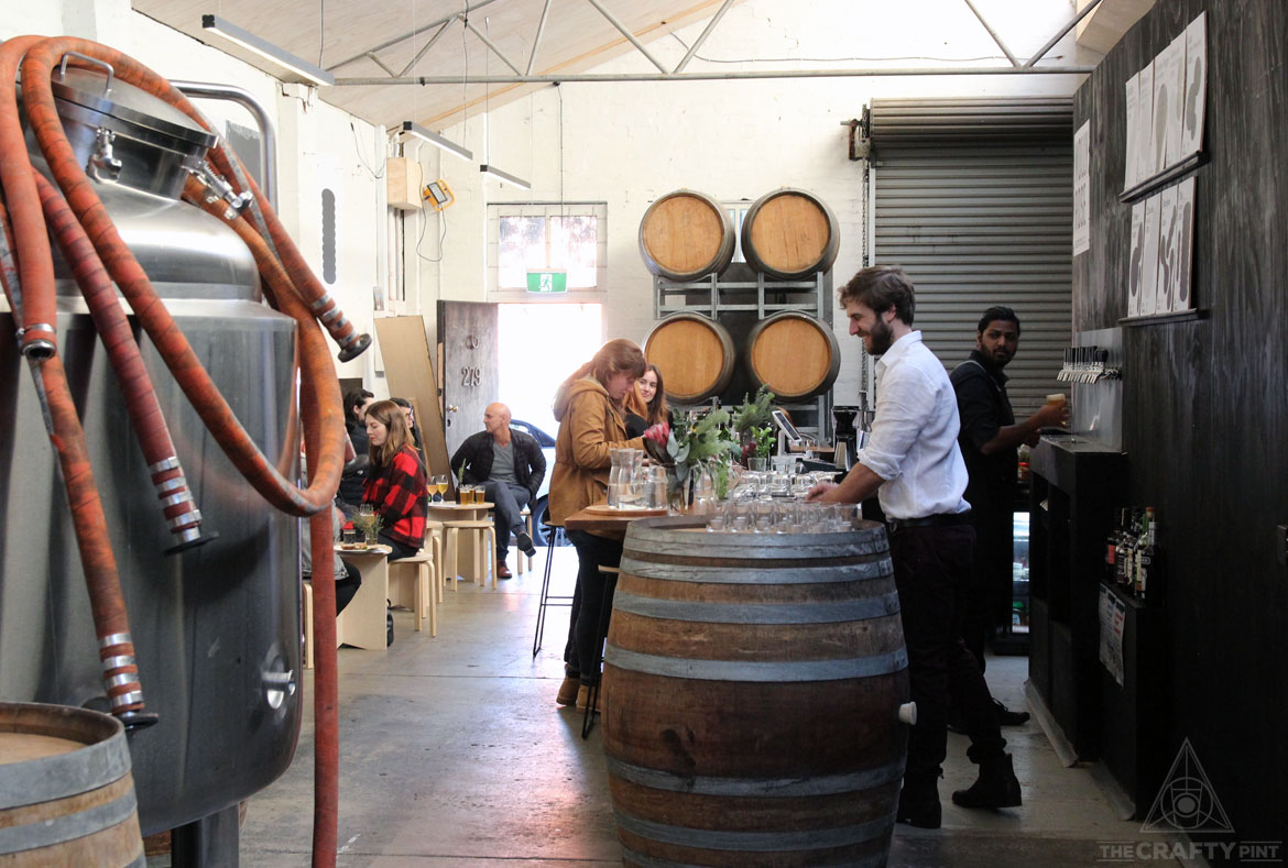 Molly Rose Brewing - The Crafty Pint