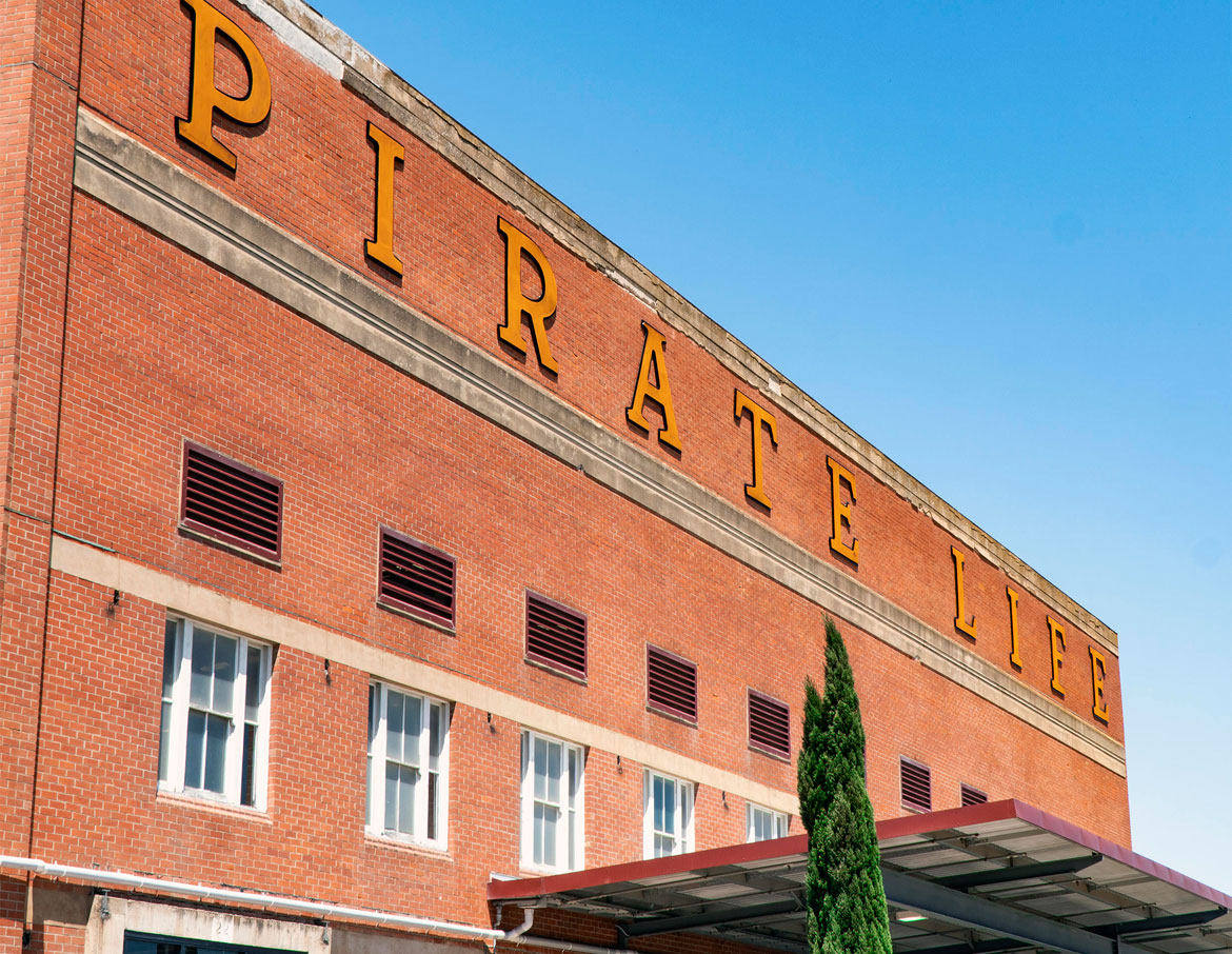 A Day On The Cans At Pirate Life (SA) - The Crafty Pint